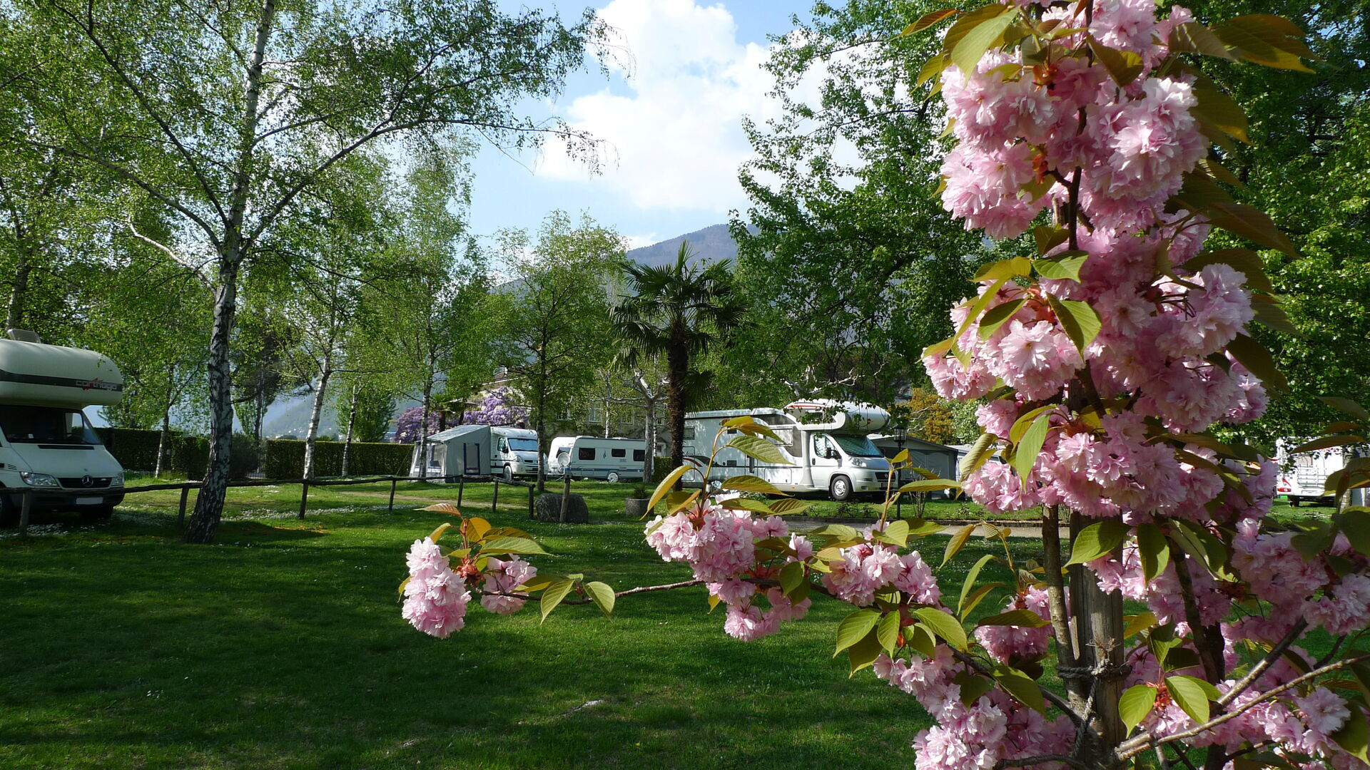 Camping Delta | Gallery